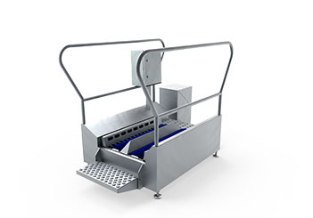 Boot Washing Systems | RA Maxwell and Associates